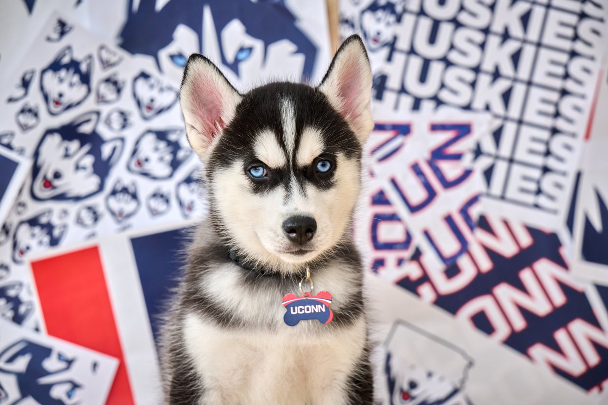 Uconn Huskies On Twitter Uconn Nation Join Us In Welcoming Jonathan