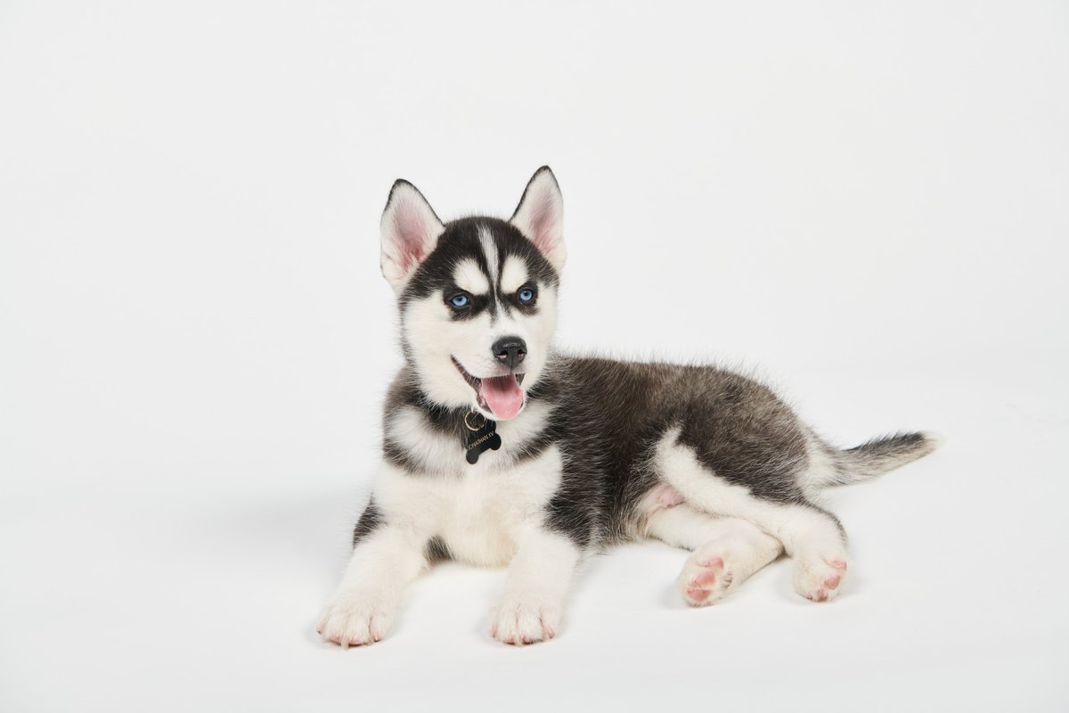 Uconn Huskies On Twitter Uconn Nation Join Us In Welcoming Jonathan