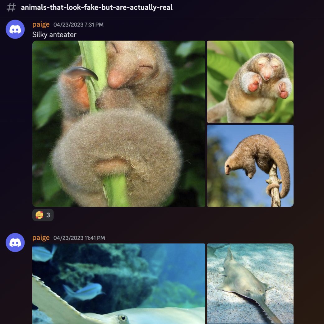 Fake Animals That Look Real