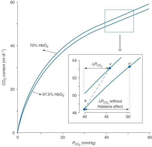 Why do we need to target a lower SpO2 in patients with COPD? - A mini ...