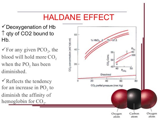 Why do we need to target a lower SpO2 in patients with COPD? - A mini ...