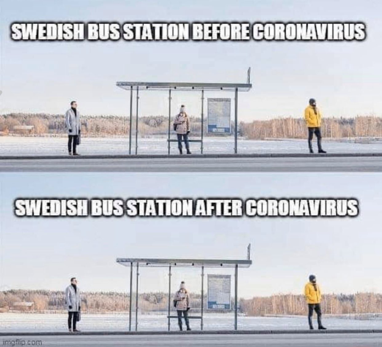 Swedish Bus Stop Memes BPS Constable Sevier Stopped To... Brantford