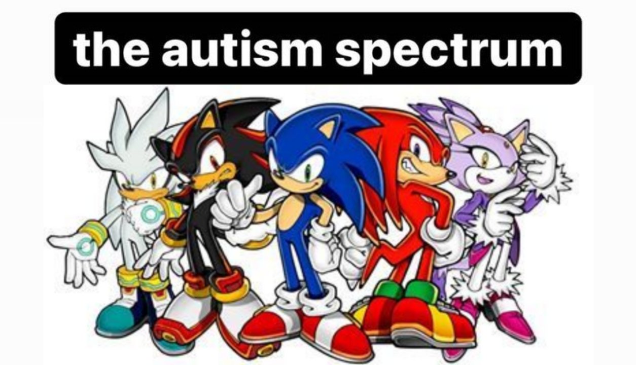 Autistic Hedgehog Memes By Golly Do I Need To Continue Writing My