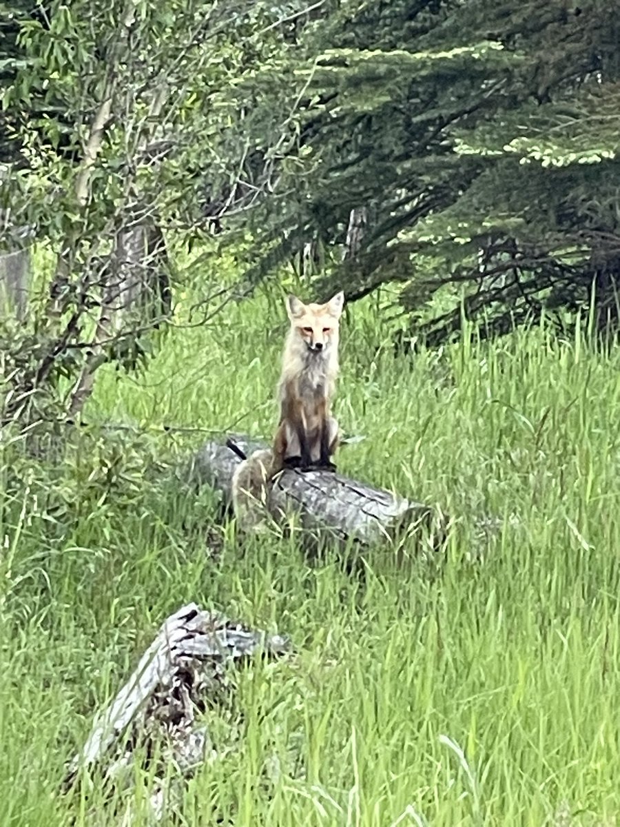 Adnan H. Siddiqui, MD on Twitter: "RT @DornbosIII_MD: Another phenomenal 3Cs conference! Can’t ...