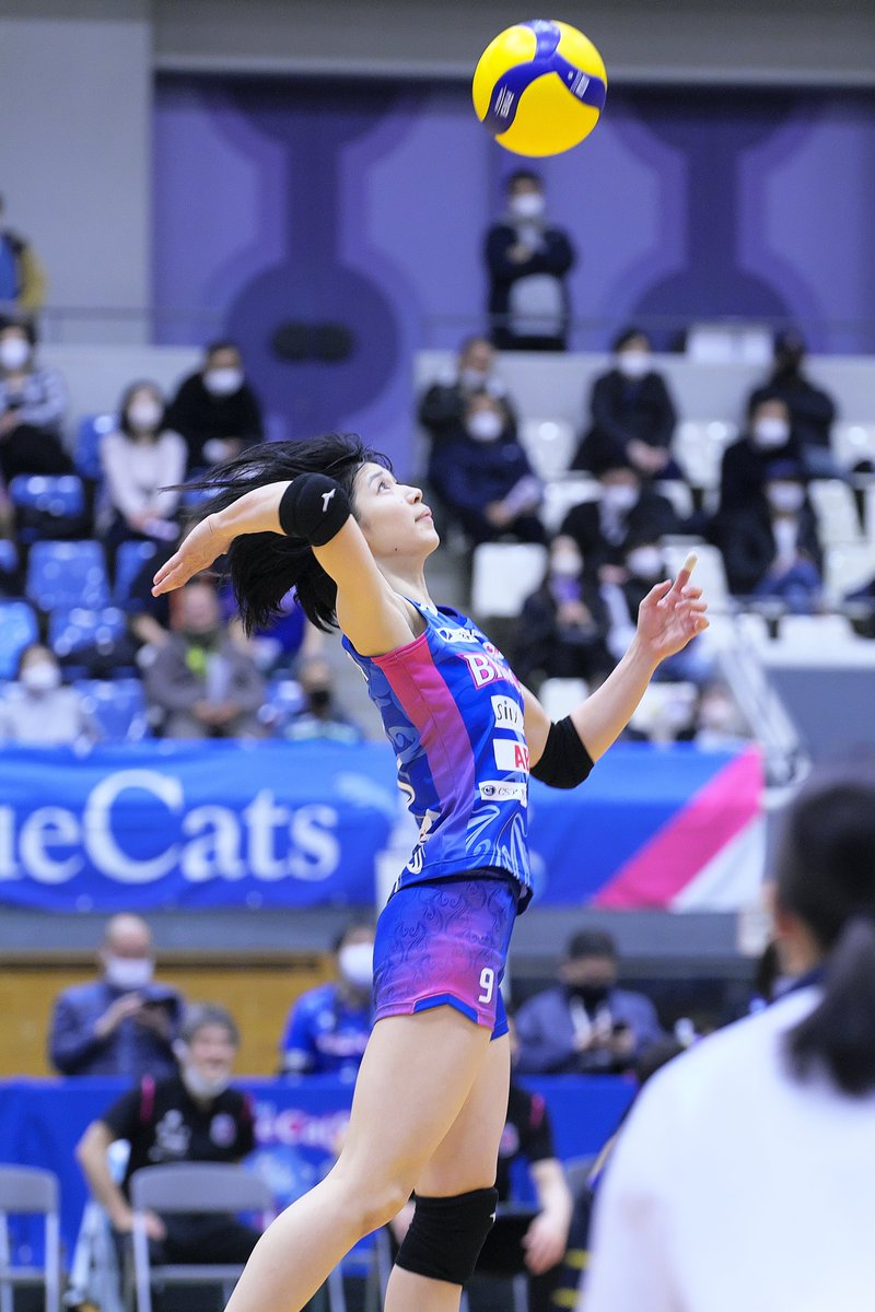 カイファ on Twitter: "ガンバレPFUブルーキャッツ #PFUブルーキャッツ #PFUBlueCats #山下遥香 選手 2023年3月18日"