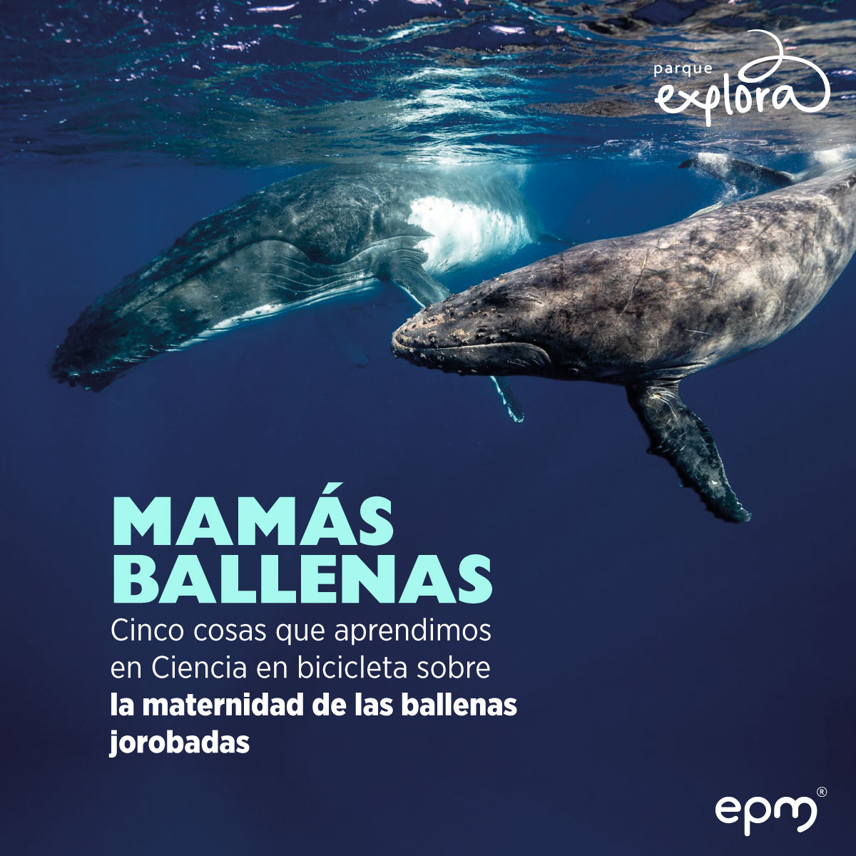 Parque Explora on Twitter: "En nuestro último Ciencia en bicicleta hicimos un viaje a la ...