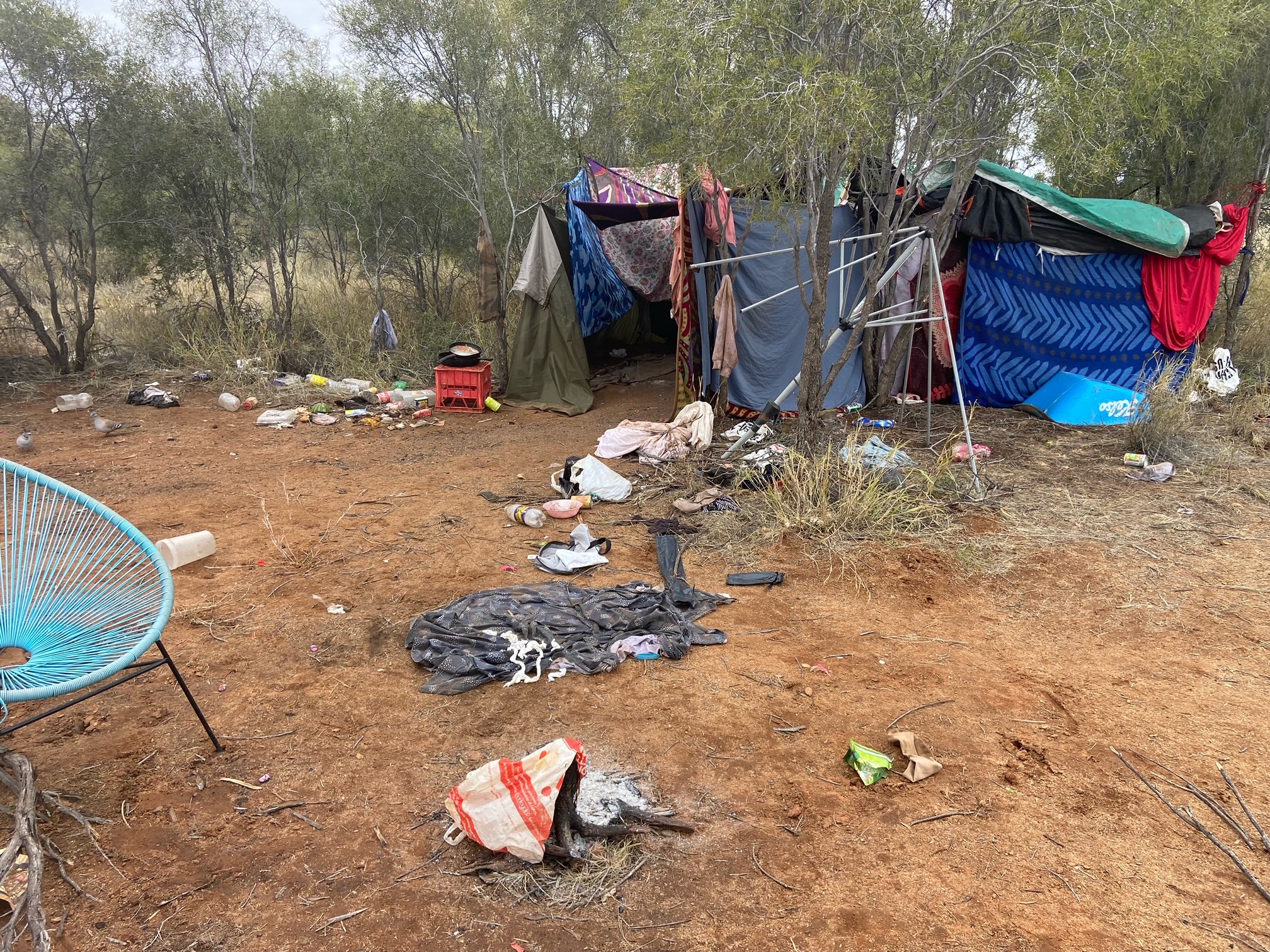 Action for Alice 2020 - Darren Clark (@actionforalice) / Twitter