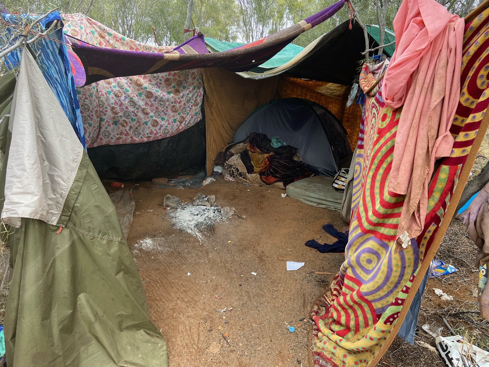 Action for Alice 2020 - Darren Clark (@actionforalice) / Twitter