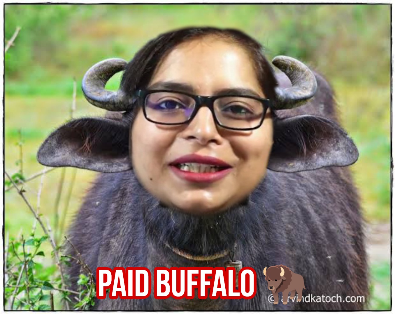 Buffalo Meme