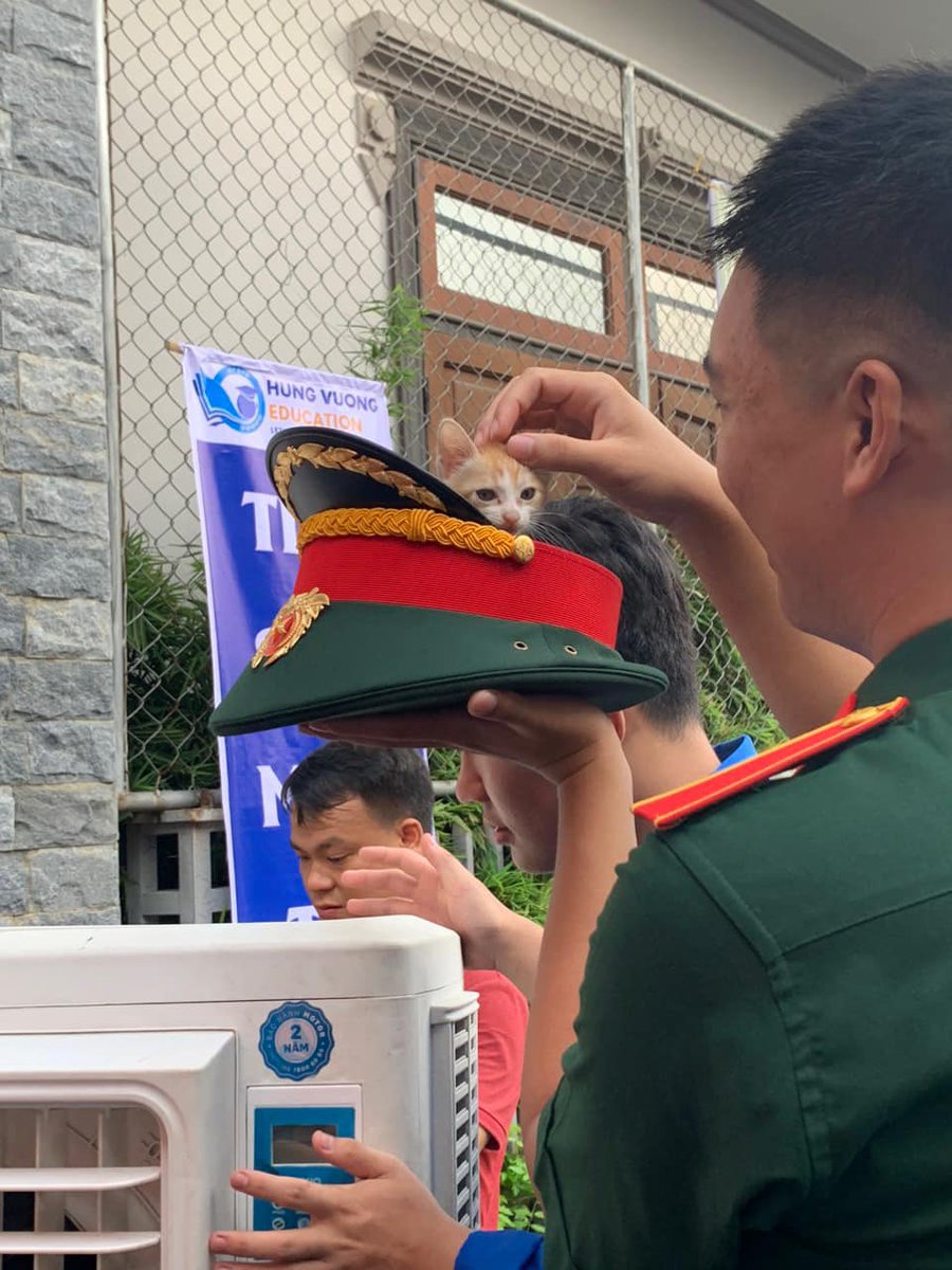 Lee Ann Quann on Twitter: ""How should we report it to comrade Commissar?" "That's the easy part ...