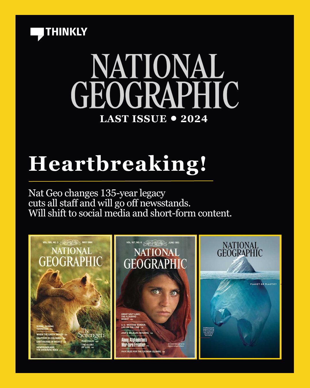 National Geographic Magazine Cover Animals