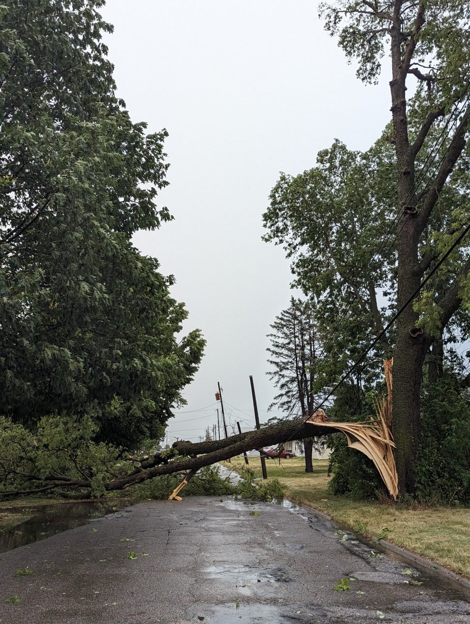 Jesse Risley on Twitter: "Substantial tree damage, power lines down, and minor structural damage ...