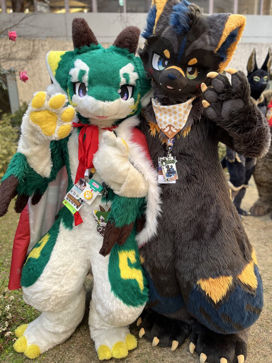 ぴぃ Phii 🔜 JMoF2026 @fursuit_furry X Profile | Muskviewer