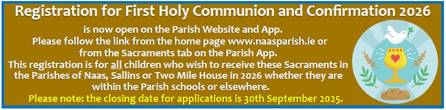 Mercy Convent Primary School, Naas (Parish Primary) – Naas, Sallins ...