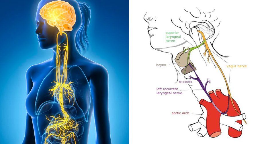 Mente Sabia's Threads – Thread Reader App