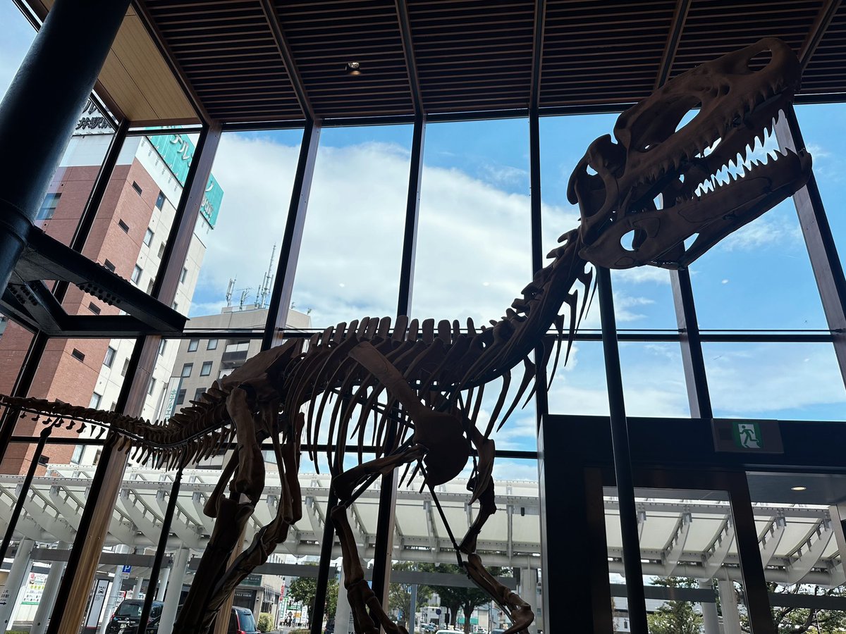 MIDV-615 나를 내려다보는 나마이키인 언니를 추잡한 코스로 부끄러워 몰랐다! 진구지 나오