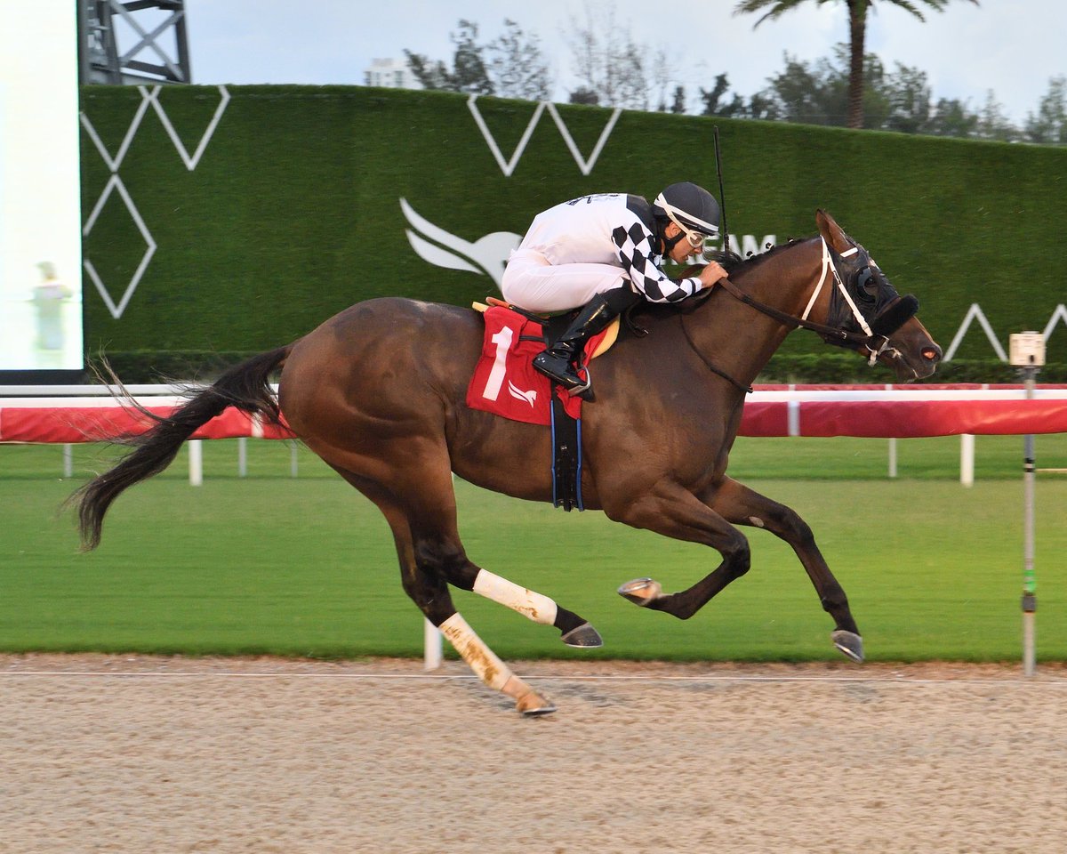 Gulfstream Park @GulfstreamPark X Profile | Muskviewer