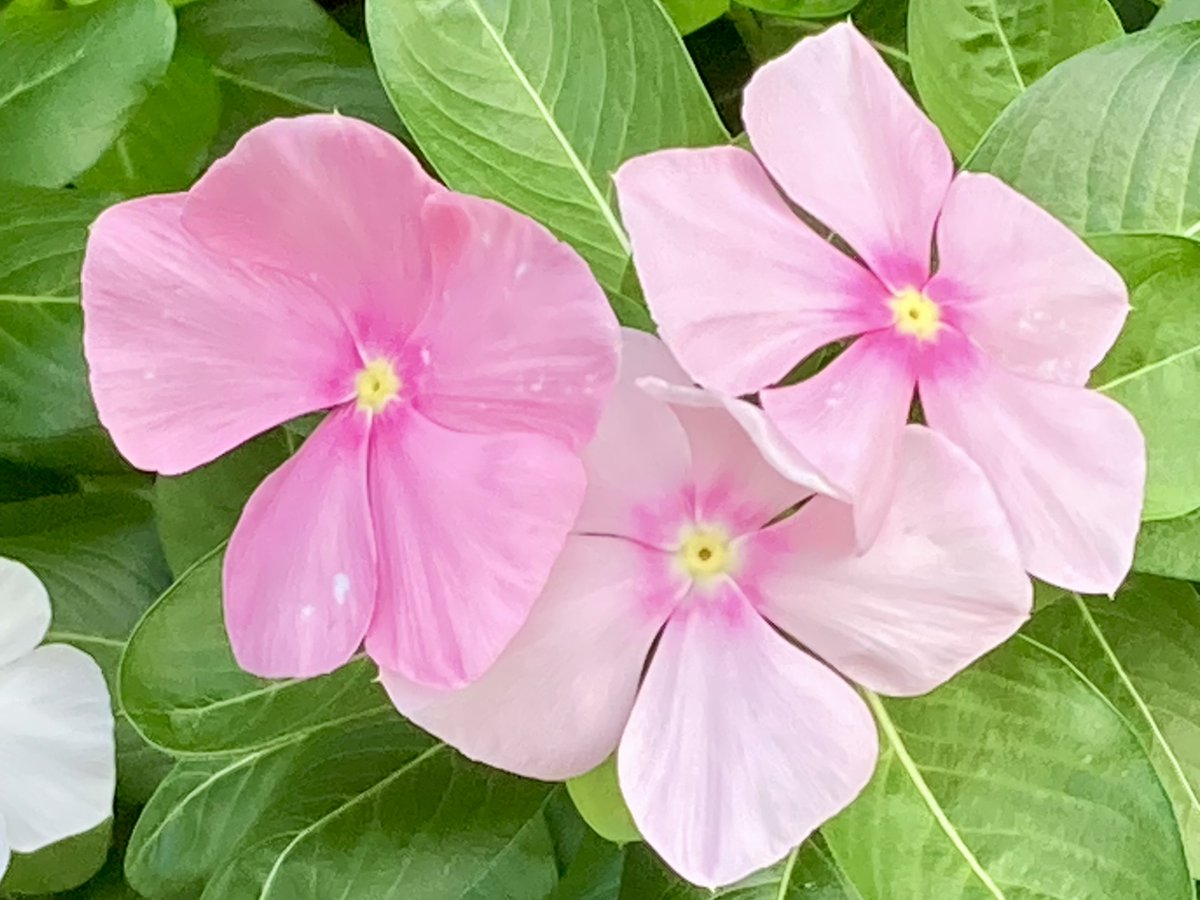 takum kojima(@takum) - Twilog (ツイログ)