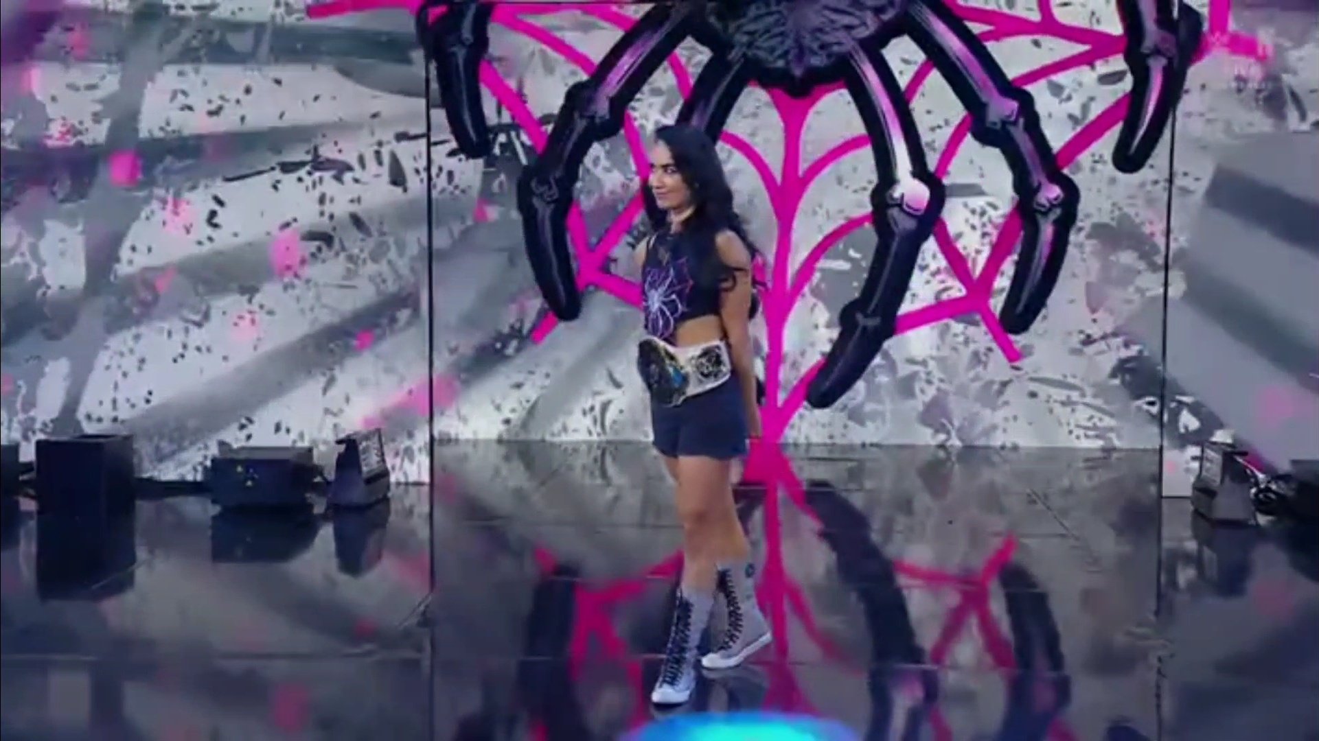 Aj Lee Con Converse Aj Lee Chuck Taylors Phil 'CM Punk' Brooks Poses