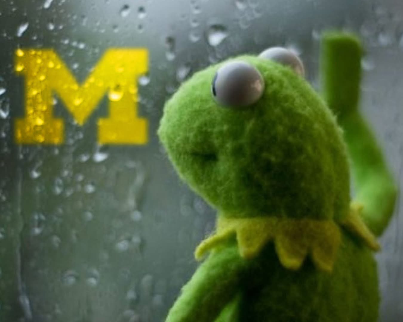 Sad Kermit Window