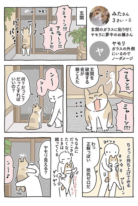 2/6 みたらしとヤモリ ※画質がわるくて読みづらかったら画像長押しして.. | AKR｜7巻でたよ さんのマンガ | ツイコミ(仮)