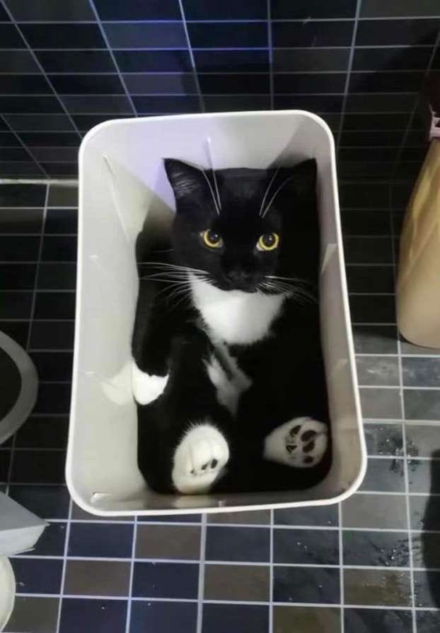 pelium weasley @designerddrugs X Profile | Muskviewer