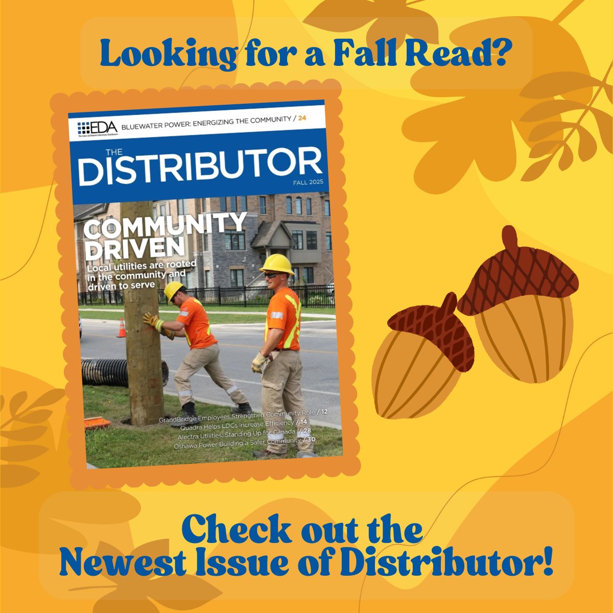 Electricity Distributors Association