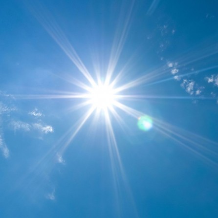 CO2 + T3 + B1's Threads – Thread Reader App