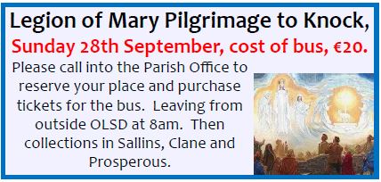 Mercy Convent Primary School, Naas (Parish Primary) – Naas, Sallins ...