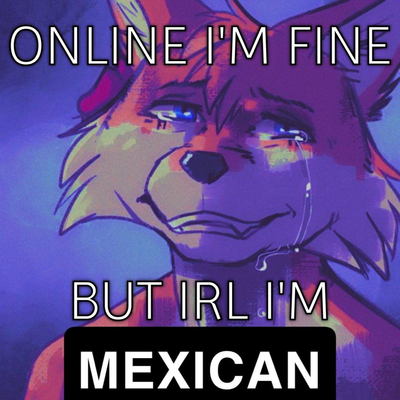 Sad Fox Memes