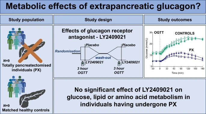 New EASD-ADA consensus guidelines on managing hyperglycaemia in type 2 ...