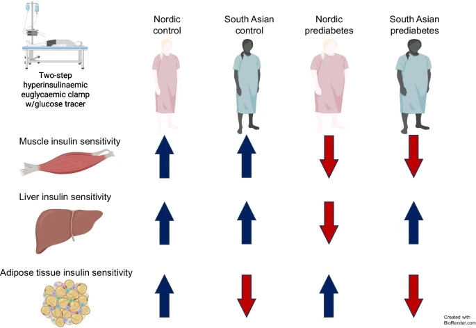 New EASD-ADA consensus guidelines on managing hyperglycaemia in type 2 ...