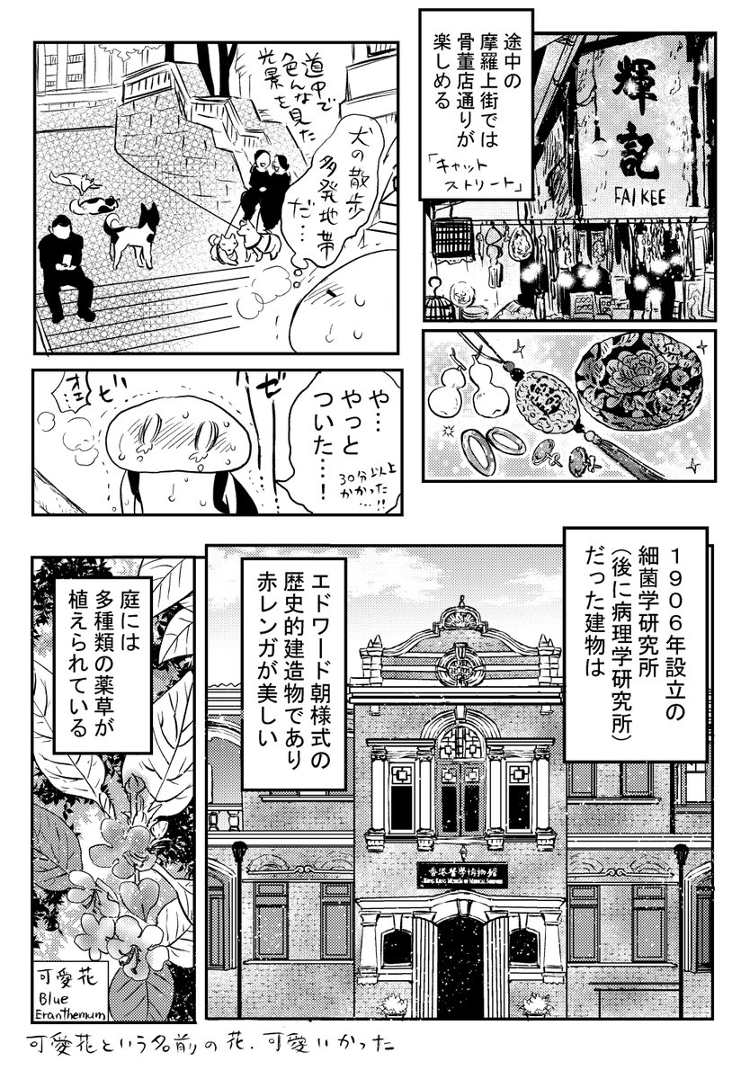 「香港医学博物館と纏足(1/3) 」赤夏/comitiaに54bの漫画