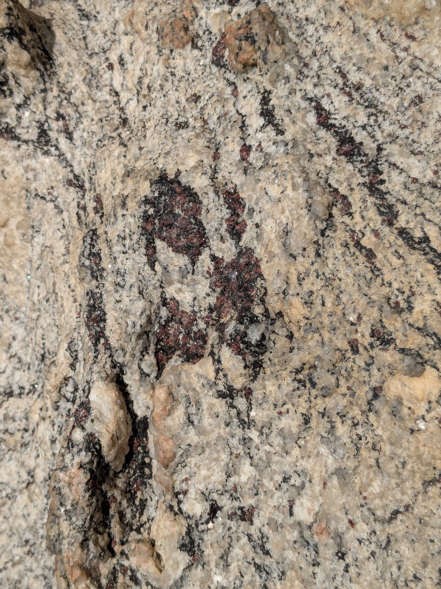 わんだらぁ(@StellaInerrans) - Twilog (ツイログ)