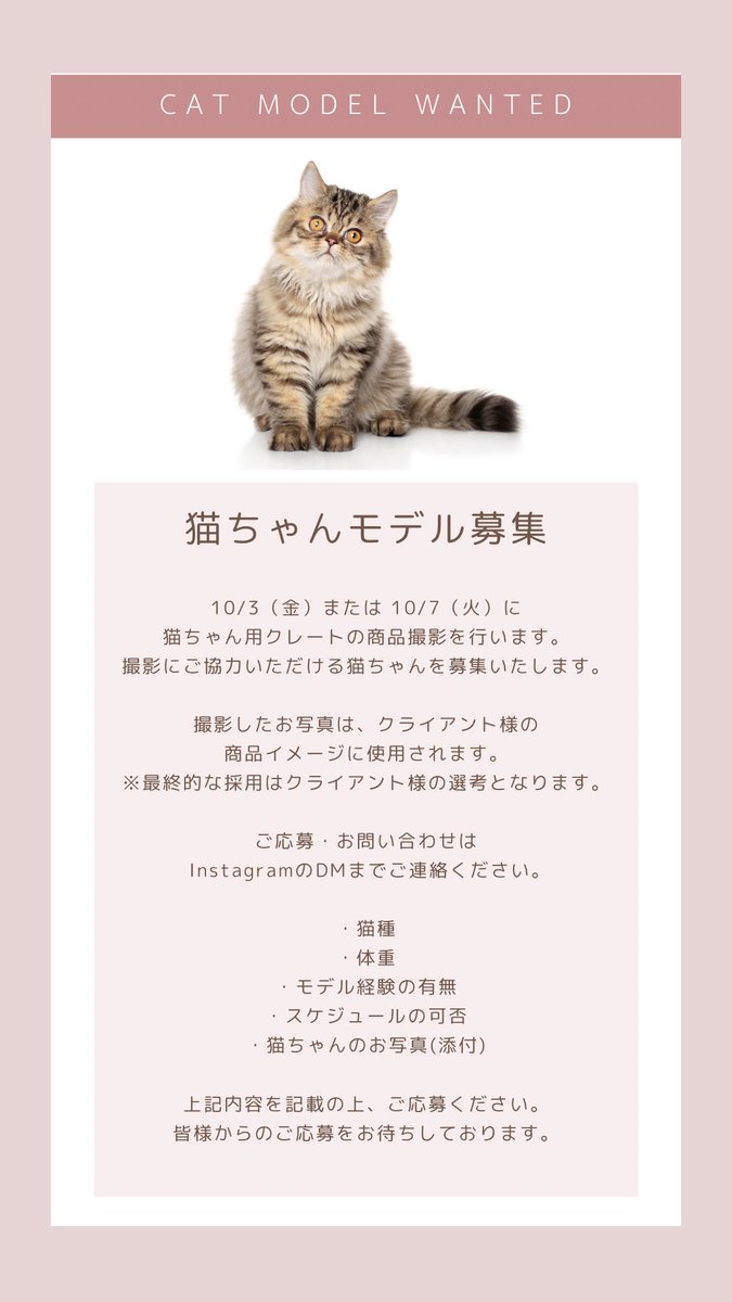 【Dogram】愛犬家のための犬専門写真館🐕🐾 @dogram_official X Profile | Muskviewer