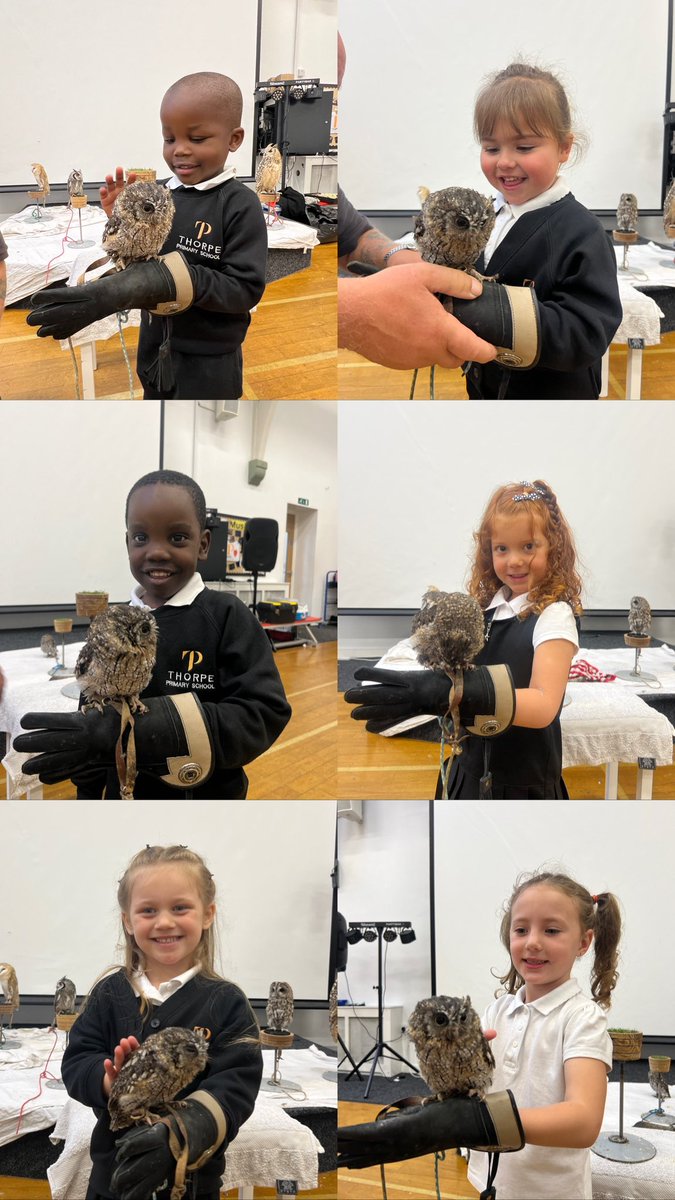 Welcome to Thorpe Primary School | Thorpe Primary School