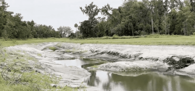 Navigating Florida Land Use and Cover with FLUCCS Codes - The ...