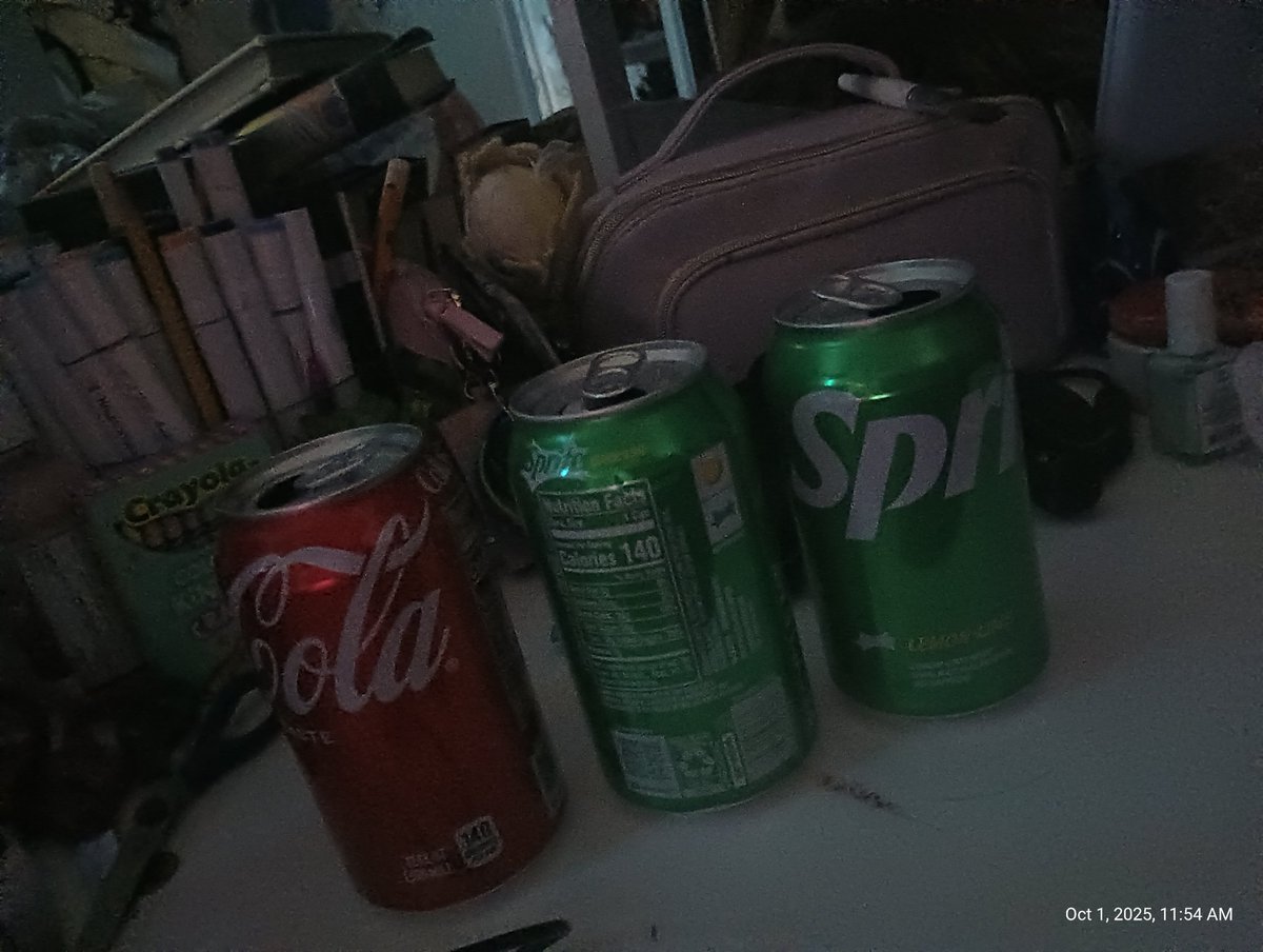 Just a girl and her 3 sodas that are still full (also I finally cleaned ...