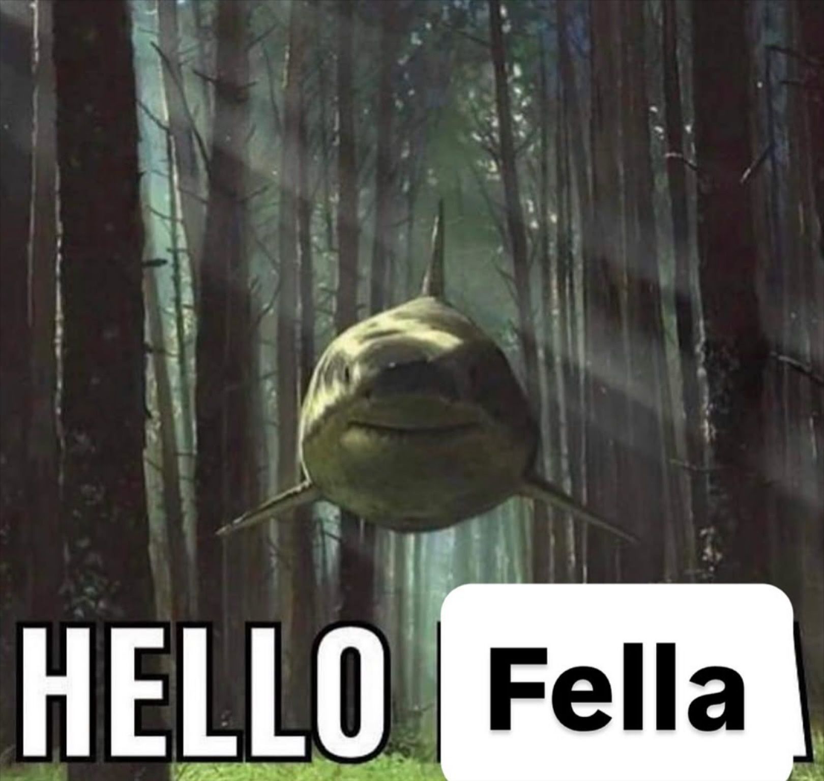 Hey Fella Memes