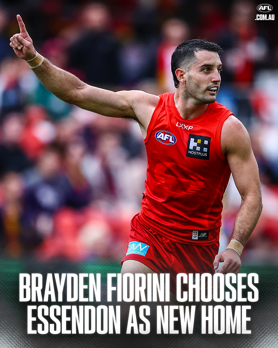 Afl Essendon Memes Afl Memes
