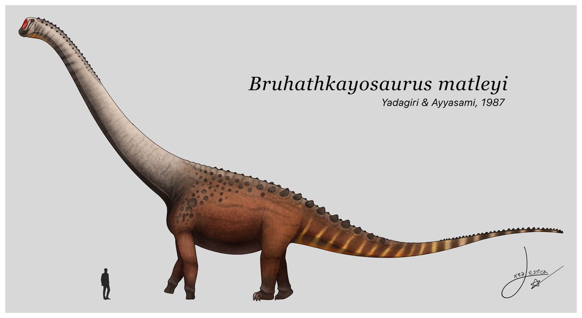 Bruhathkayosaurus Matleyi