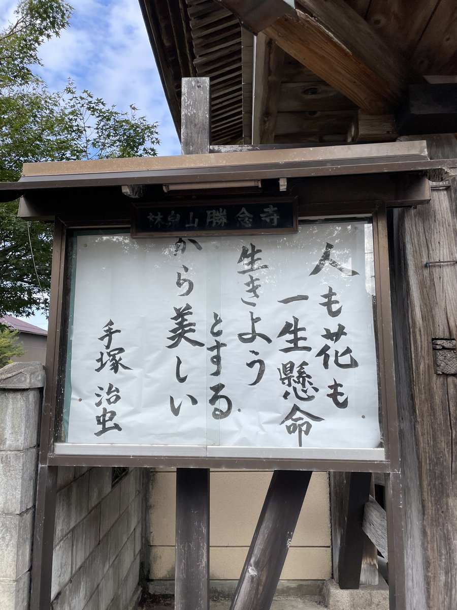生まれてきたことの意味がわからない人はお寺に行って聞法してください https://t.co/reiM9KVH5S
