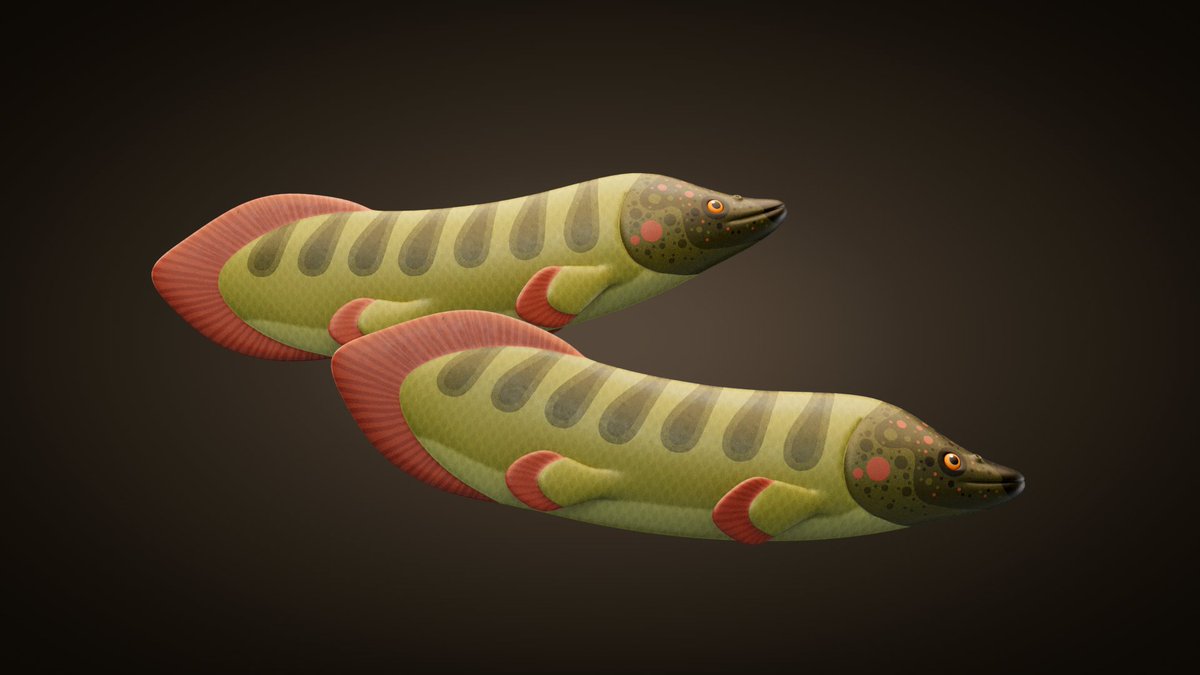 Arganodus is a freshwater lungfish from the Triassic, I chose to make ...