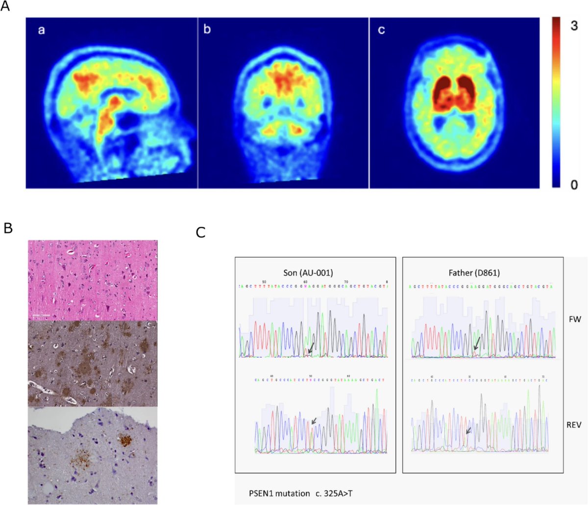 The NeuroNetwork (@TheNeuroNetwork) / Posts / X
