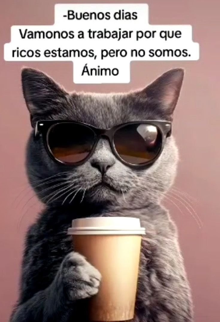 Memes Buen Animo Top 63 Memes De Animo
