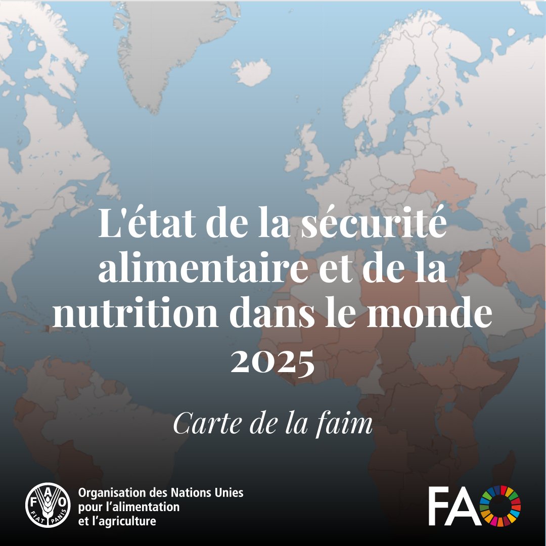 Carte De La Faim Dans Le Monde 2024