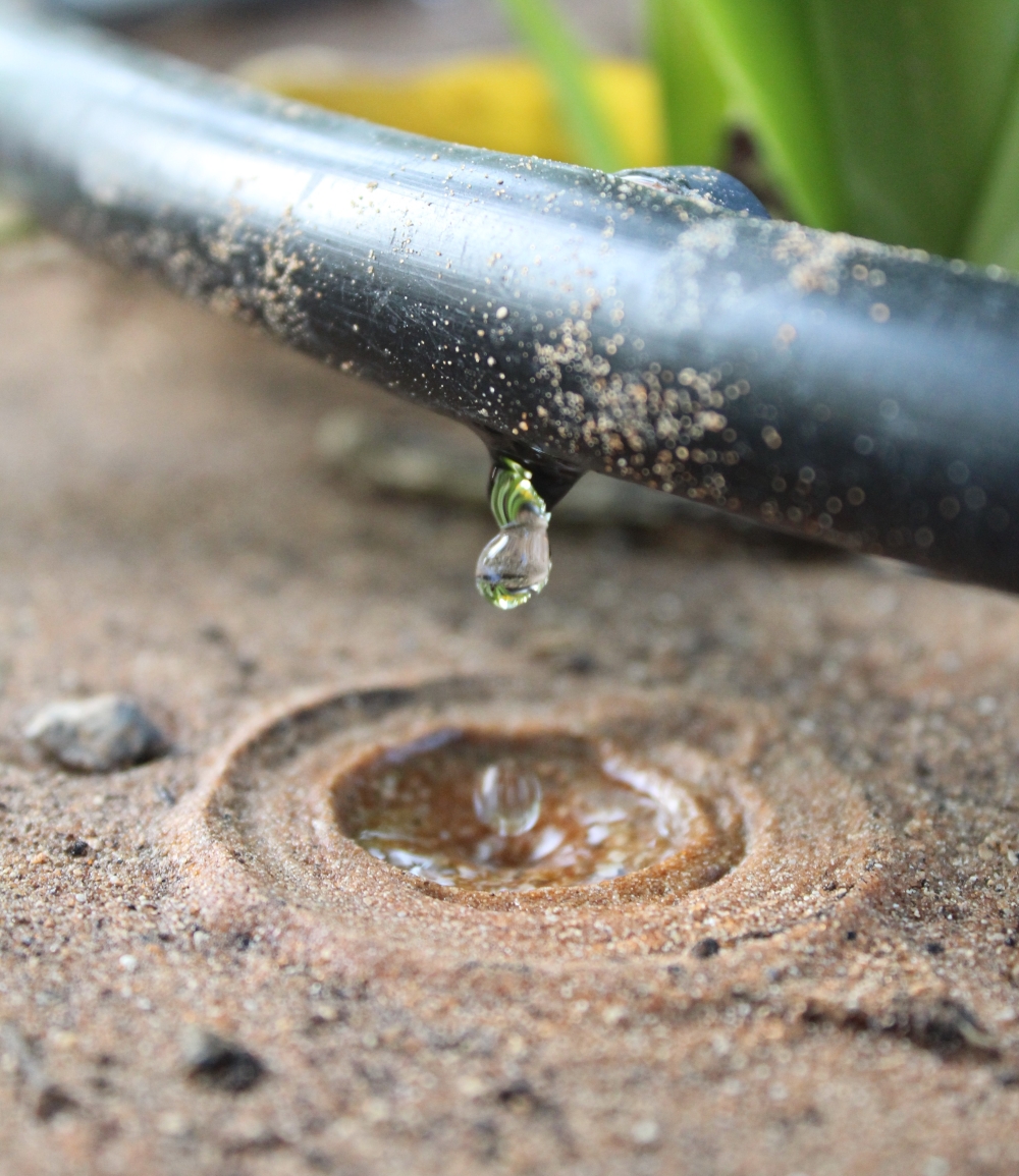 Home – Provo Water Company