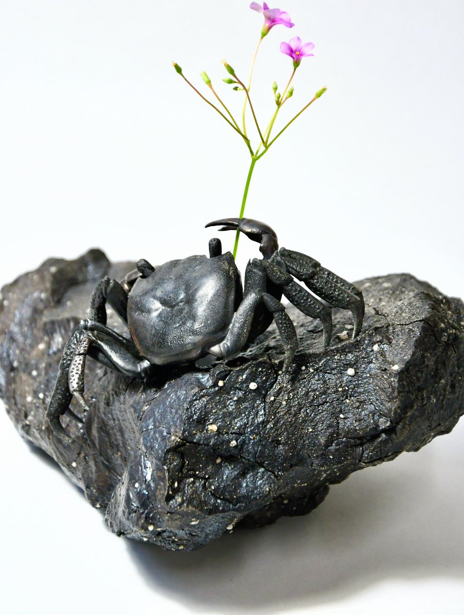 作品名:穴窯一輪挿し 銘 巌上華 サイズ:W20.5×14.5×H11.2cm 岩場で遊ぶ蟹の一瞬を切り取ったような作品です。 蟹の一輪挿し ...
