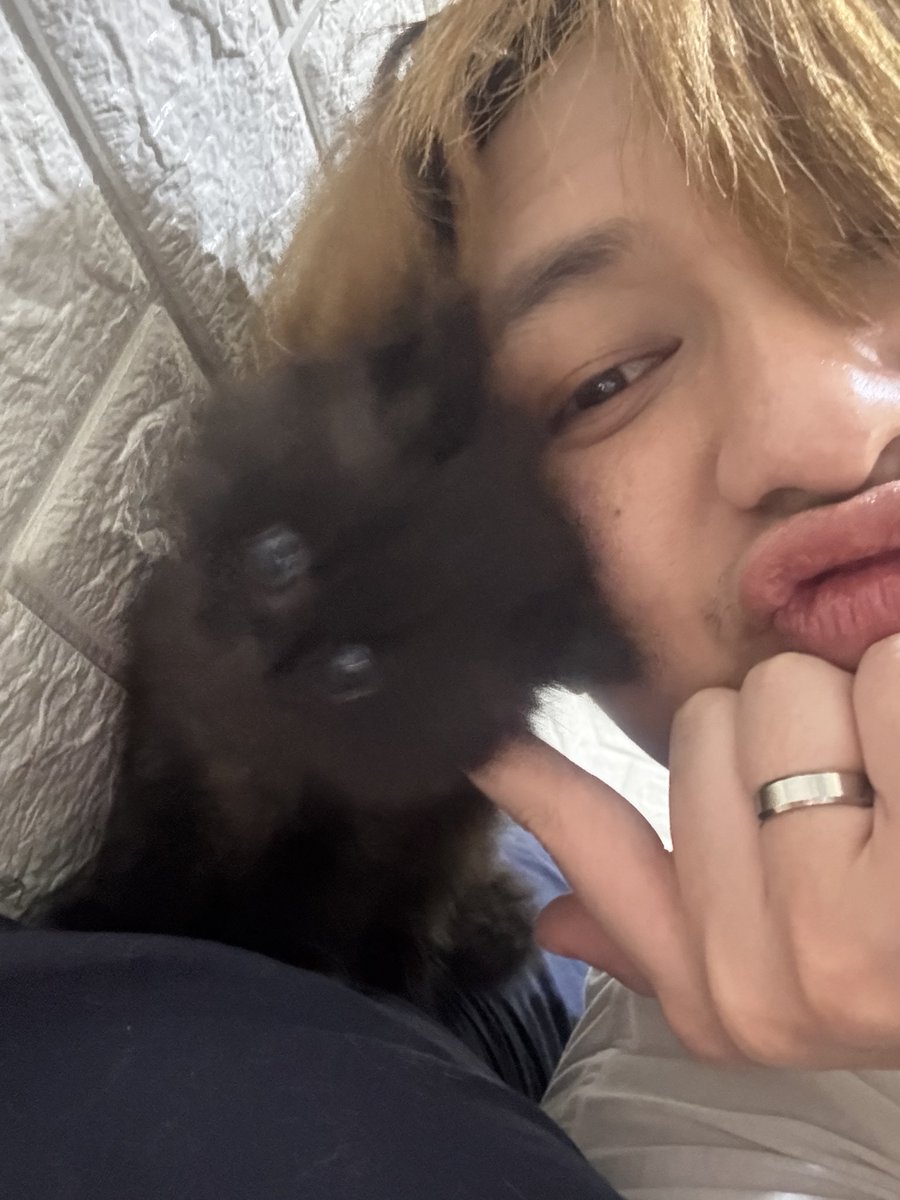@kepo_1408) / Posts / X
