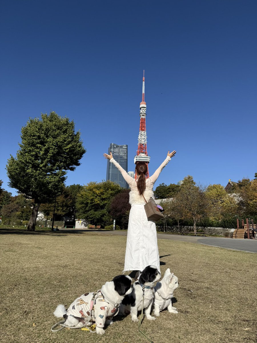 ALDN-440 我同事的前妻 我一直认为我同事的前妻很好，但我们分手后，她变成了一个非常淫荡的妻子，每次都想